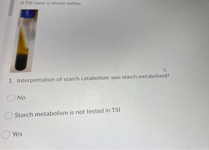 Solved A TSI slant is shown below. Record your OBSERVATIONS | Chegg.com