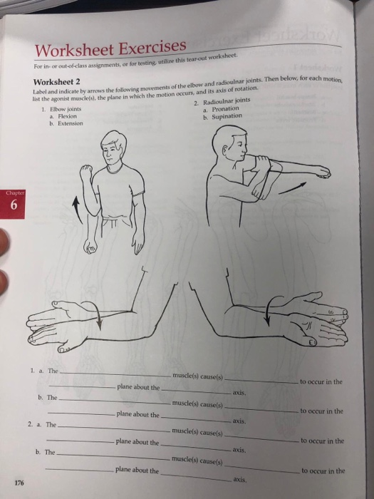 Solved Worksheet Exercises For in or out-of-class | Chegg.com