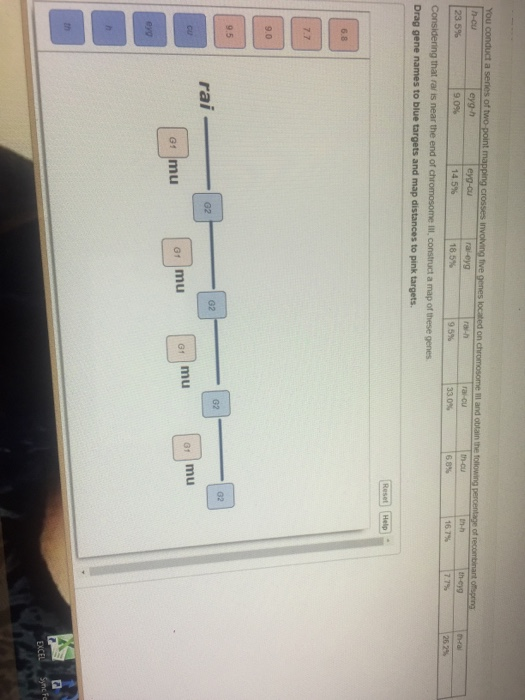 Solved You conduct a series of two point mapping crosses | Chegg.com