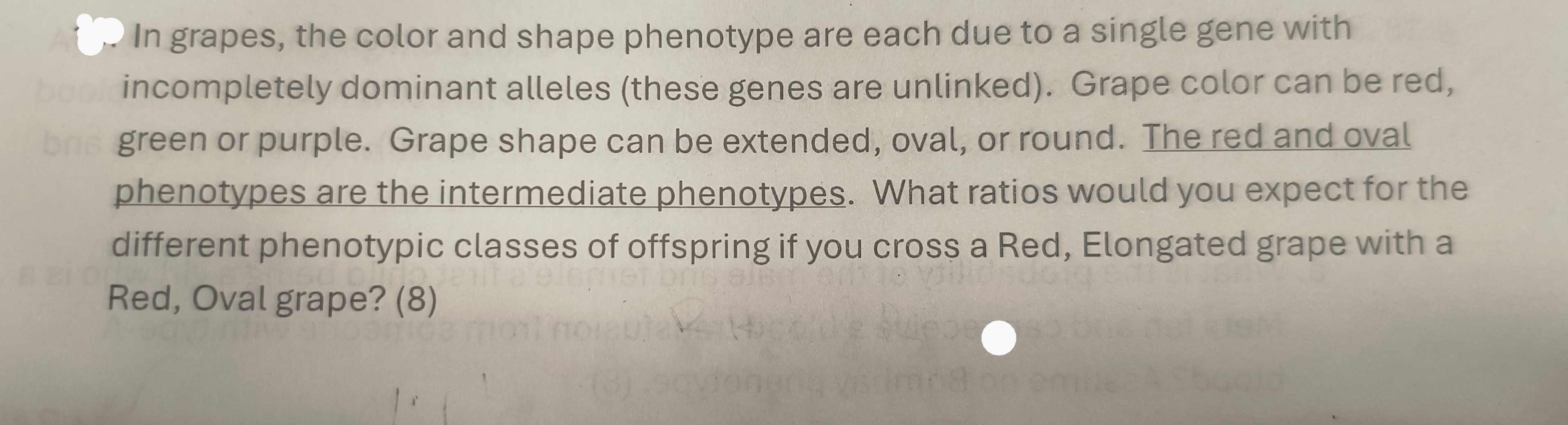 Solved by an EXPERT In grapes, the color and shape phenotype are each due | Chegg.com