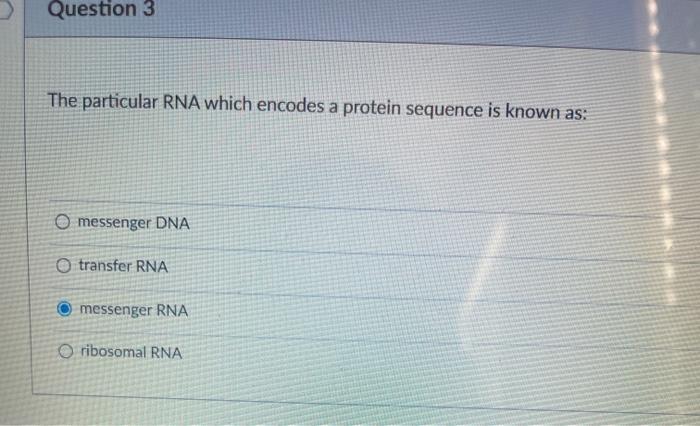 Solved Question 3 The particular RNA which encodes a protein | Chegg.com