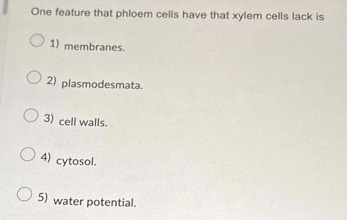Solved One feature that phloem cells have that xylem cells | Chegg.com