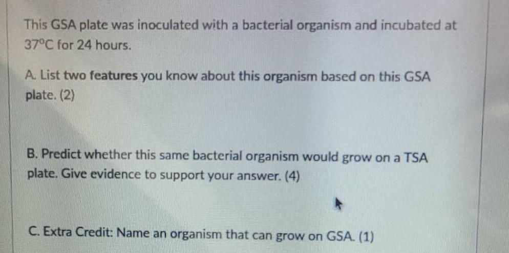 Solved This GSA plate was inoculated with a bacterial | Chegg.com