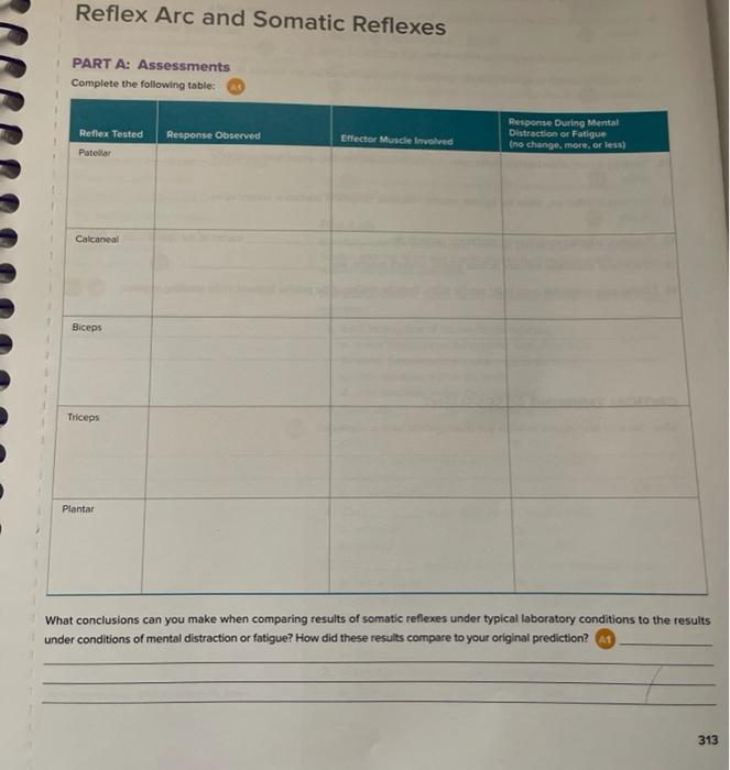 Reflex Arc and Somatic Reflexes PART A: Assessments | Chegg.com