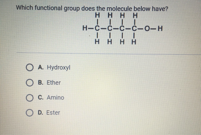 Solved Which functional group does the molecule below have? | Chegg.com