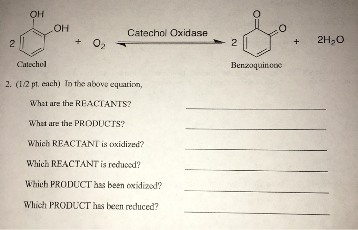 Solved ОН Но О2 Catechol Oxidase 2H20 2 2 Catechol | Chegg.com