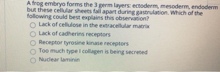 Solved A frog embryo forms the 3 germ layers: ectoderm, | Chegg.com