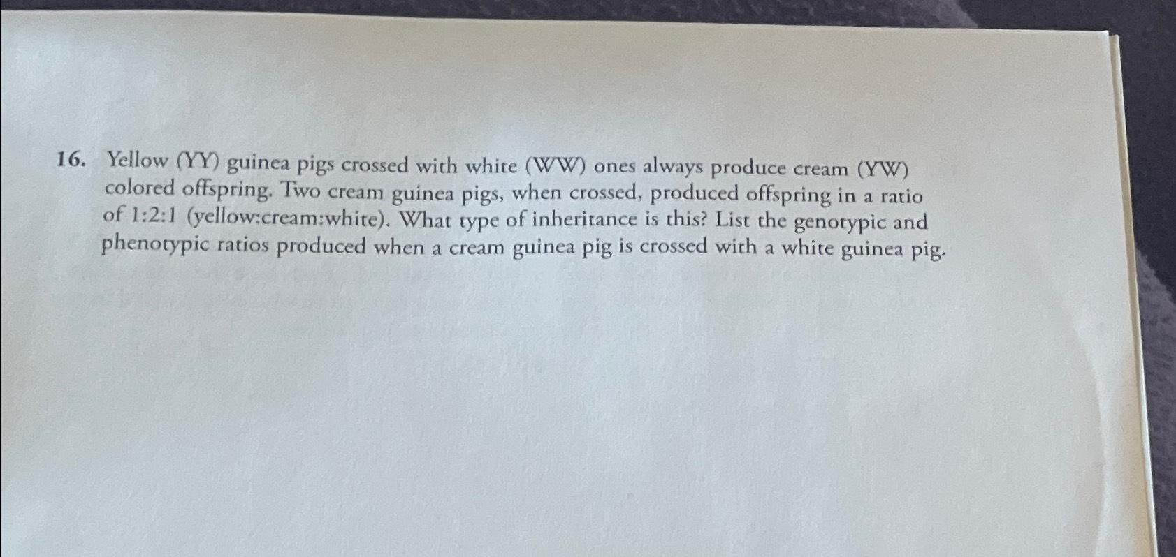 Solved Yellow (YY) ﻿guinea pigs crossed with white (WW) | Chegg.com