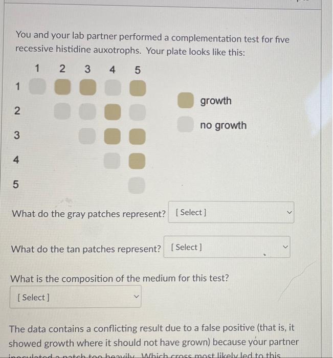 Solved You and your lab partner performed a complementation | Chegg.com