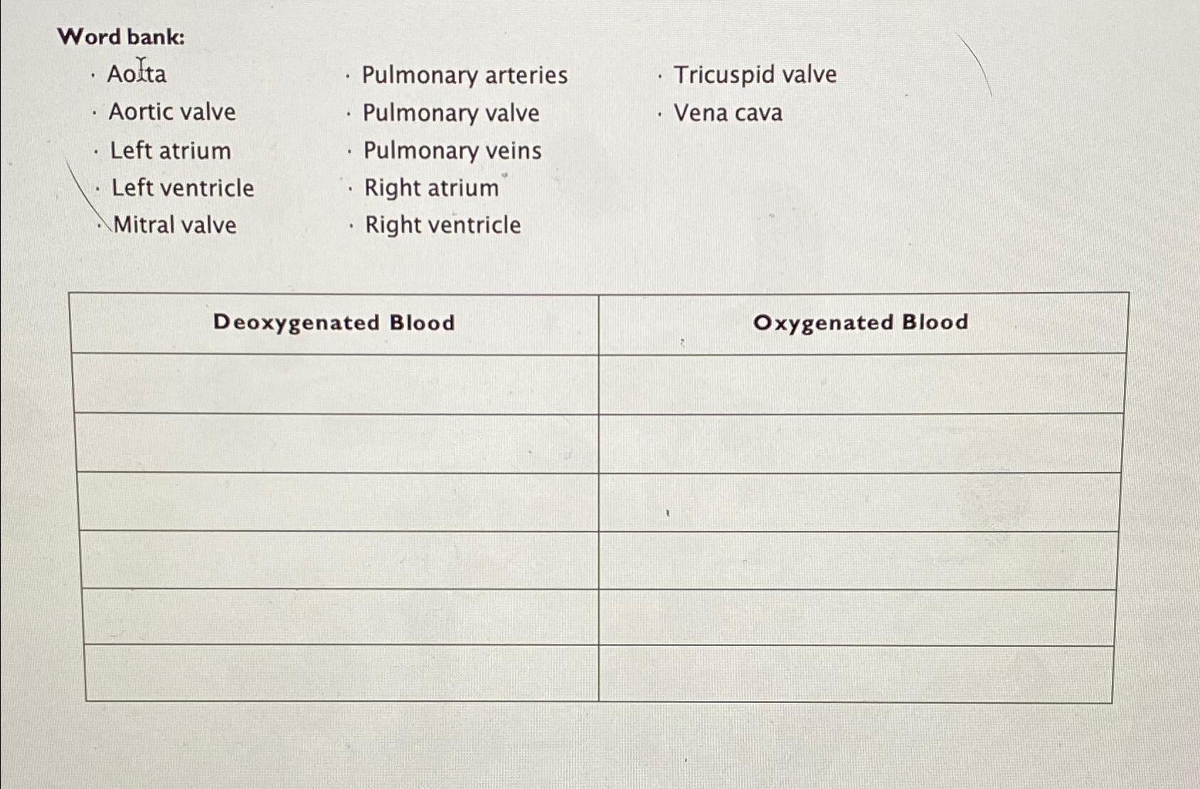 Solved Word bank:AoltaAortic valveLeft atriumLeft | Chegg.com
