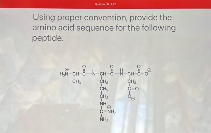 Solved Using proper convention, provide the amino acid | Chegg.com