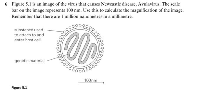 Solved 6 Figure 5.1 is an image of the virus that causes | Chegg.com