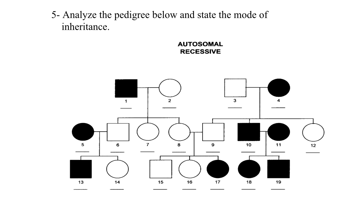 Solved 5- ﻿Analyze the pedigree below and state the mode of | Chegg.com