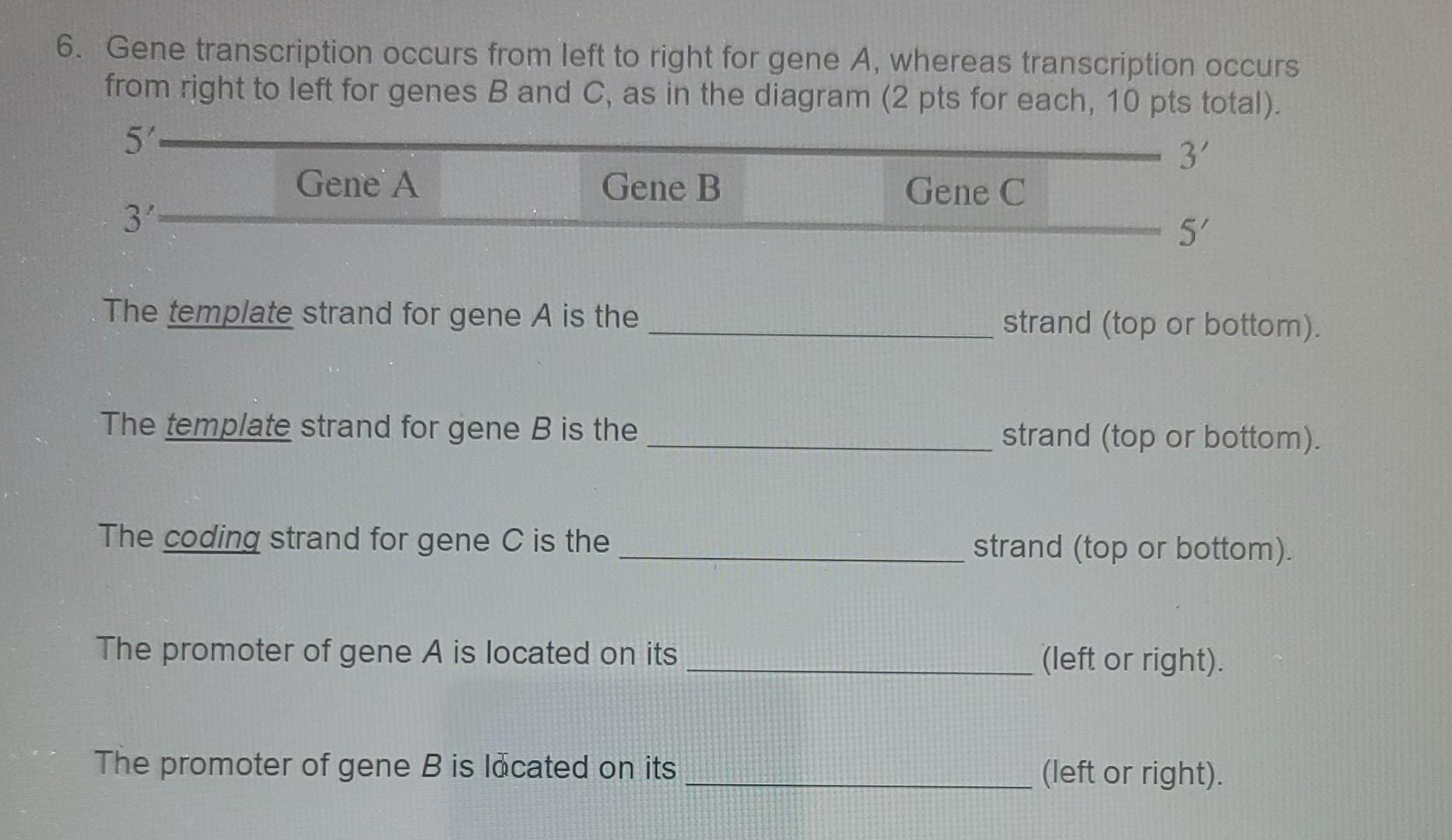 Solved Gene transcription occurs from left to right for gene | Chegg.com