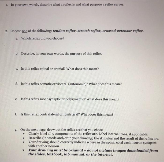 Solved 1. In your own words, describe what a reflex is and | Chegg.com