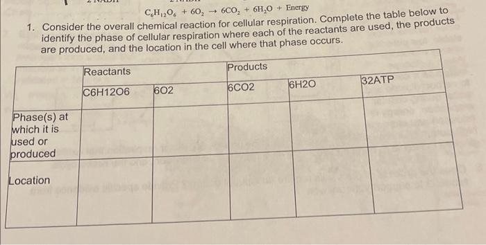 Solved C6H12O6+6O2→6CO2+6H2O+ Energy 1. Consider the | Chegg.com