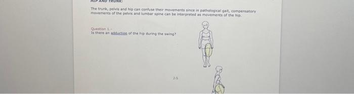Solved HIP AND TRUNK: The trunk, pelvis and hip can confuse | Chegg.com