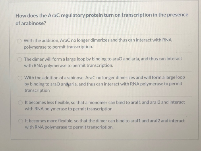 Solved How does the AraC regulatory protein turn on | Chegg.com
