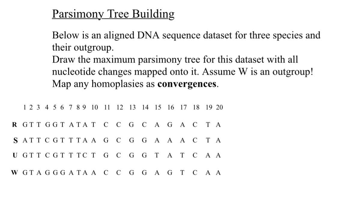 Parsimony Tree BuildingBelow is an aligned DNA | Chegg.com