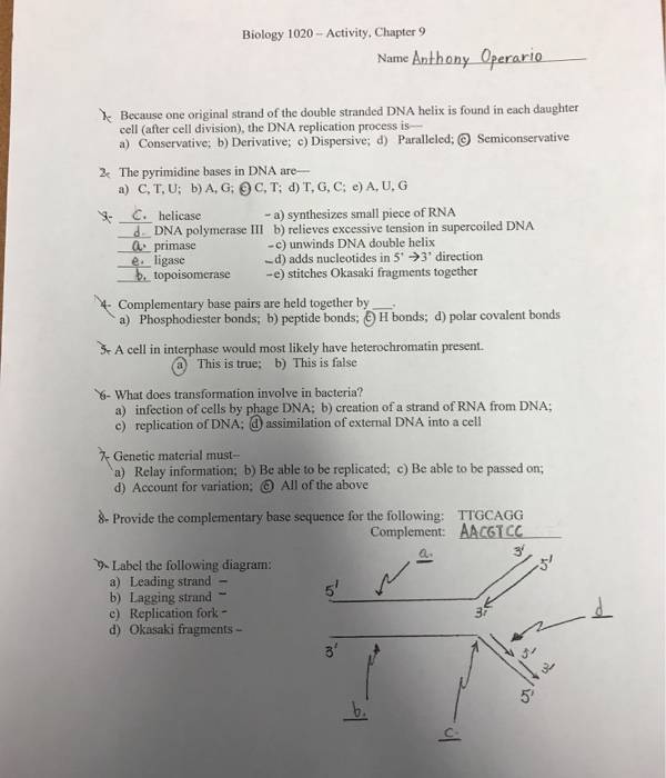 Solved Biology 1020 - Activity, Chapter 9 Name Anthony | Chegg.com