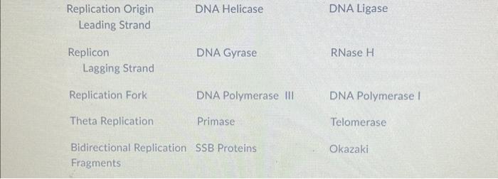 Solved Replication Origin Leading Strand Replicon Lagging | Chegg.com