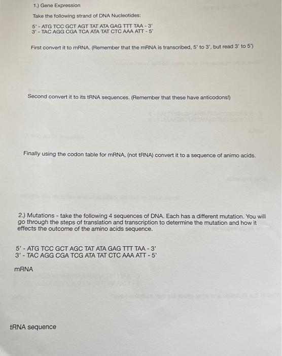 Solved Second convert it to its tRNA sequences. (Remember | Chegg.com