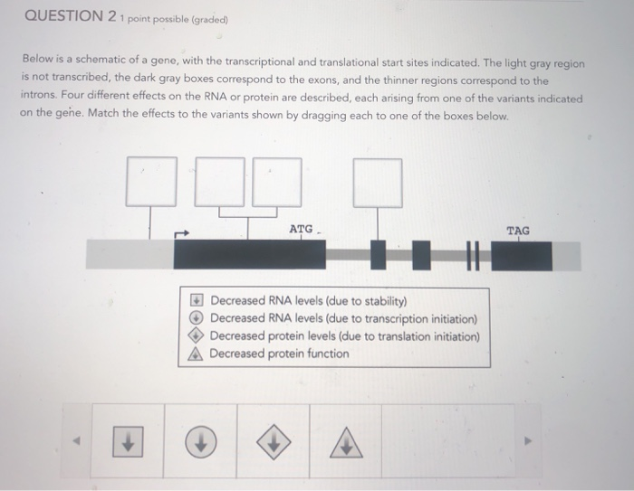 Solved QUESTION 2 1 point possible (graded) Below is a | Chegg.com