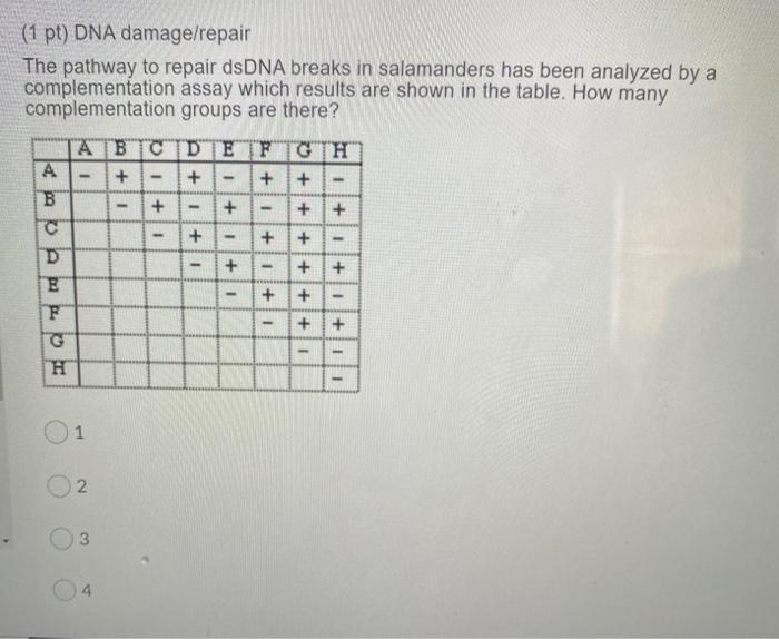 Solved (1 pt) DNA damage/repair The pathway to repair dsDNA | Chegg.com