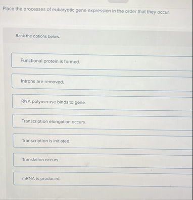 Solved Place the processes of eukaryotic gene expression in | Chegg.com