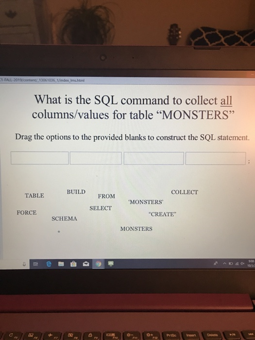 Solved 1-FALL-2019/content/ 13061036 1/index Ims.html What | Chegg.com