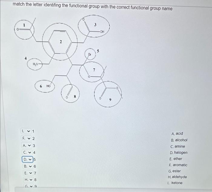 Solved match the letter identifing the functional group with | Chegg.com