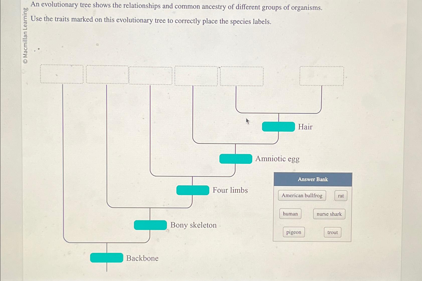Solved An evolutionary tree shows the relationships and | Chegg.com