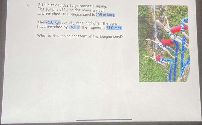 A tourist decides to go bungee jumping. The jump is | Chegg.com
