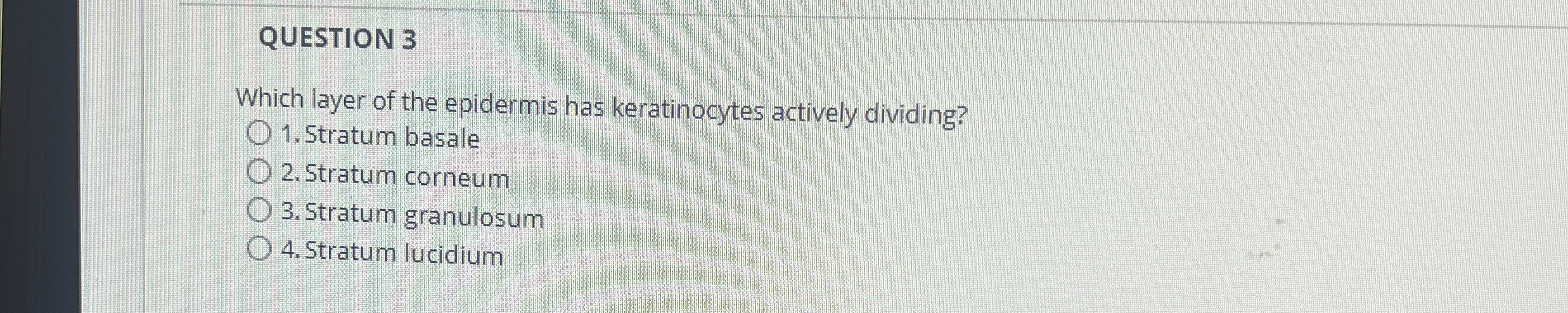 Solved QUESTION 3Which layer of the epidermis has | Chegg.com