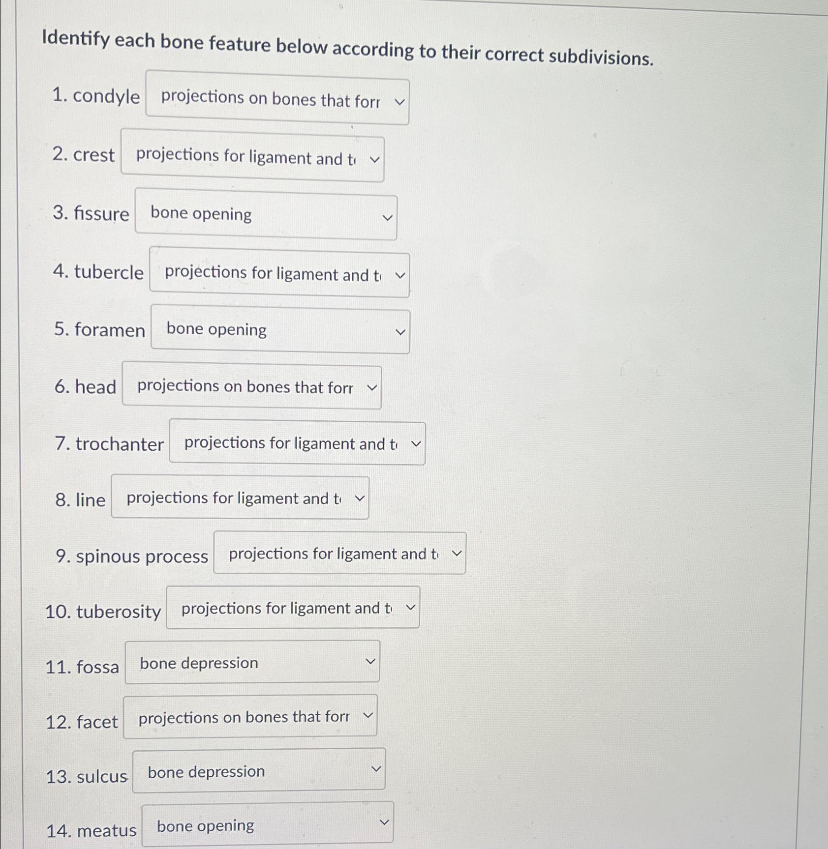 Solved Identify each bone feature below according to their | Chegg.com