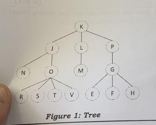 Solved (4) sed on figure 1: Tree, solve the questions (4-9) | Chegg.com