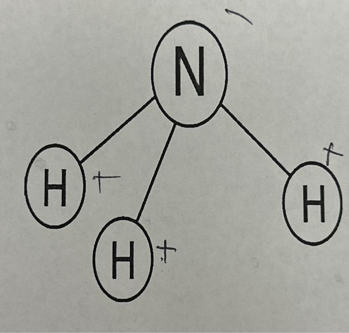 Solved 2. In the image below, draw four molecules of water | Chegg.com