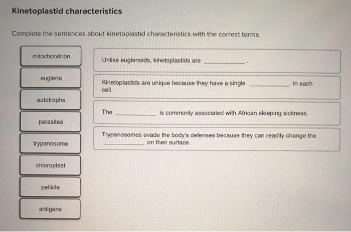 Solved Kinetoplastid characteristics Complete the sentences | Chegg.com