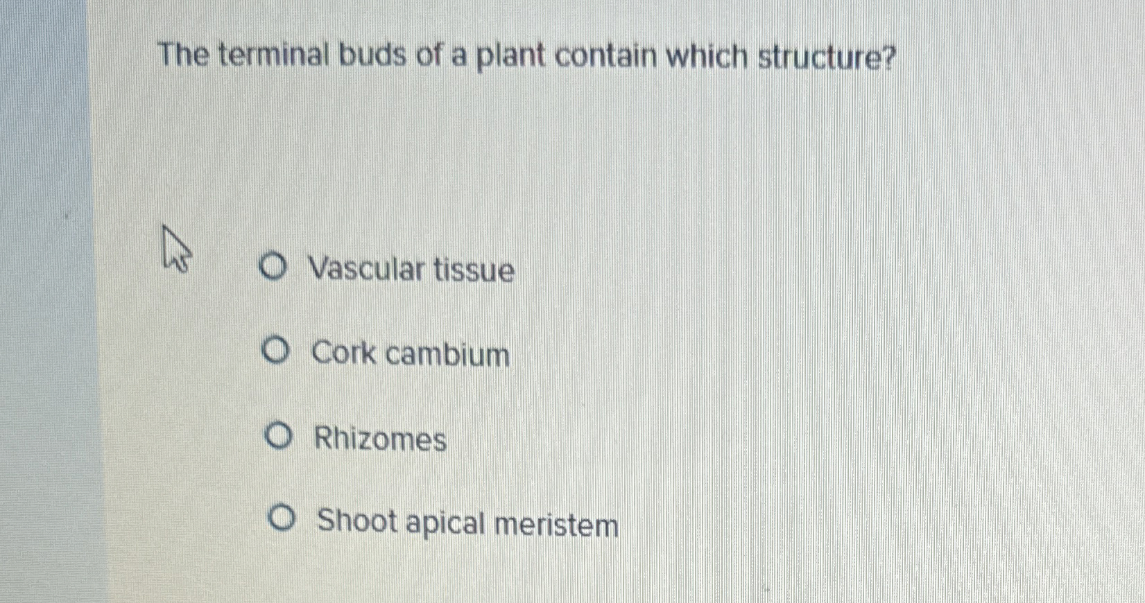 Solved The terminal buds of a plant contain which | Chegg.com