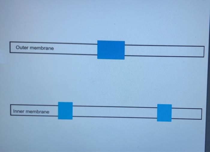 Solved Outer membrane Inner membrane your pathway as shown | Chegg.com