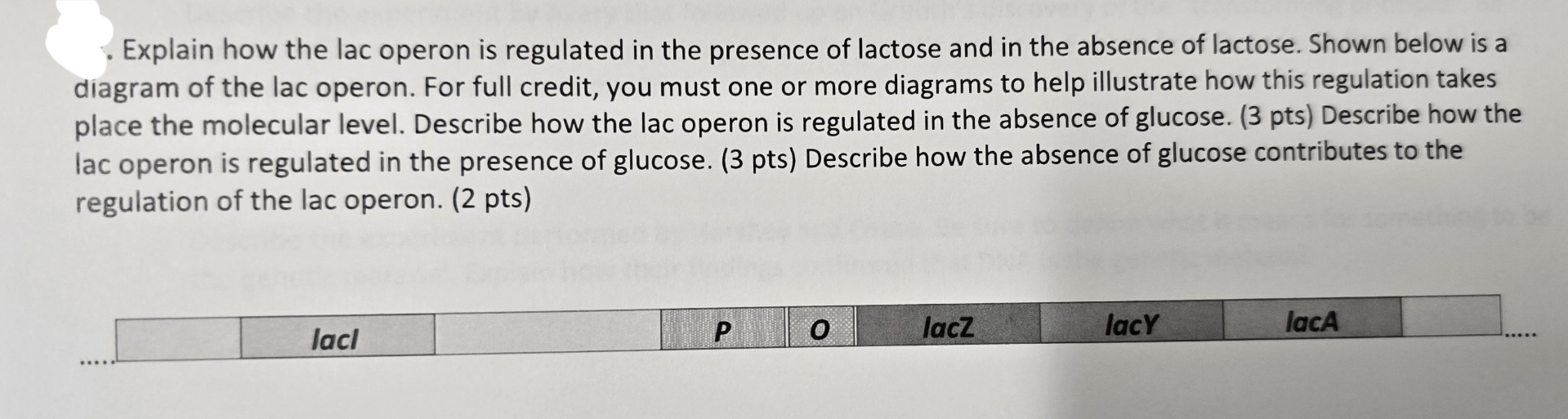 Solved . ﻿Explain how the lac operon is regulated in the | Chegg.com