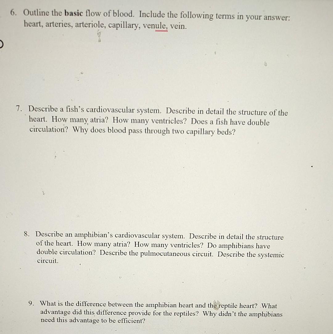Solved 6. Outline the basic flow of blood. Include the | Chegg.com