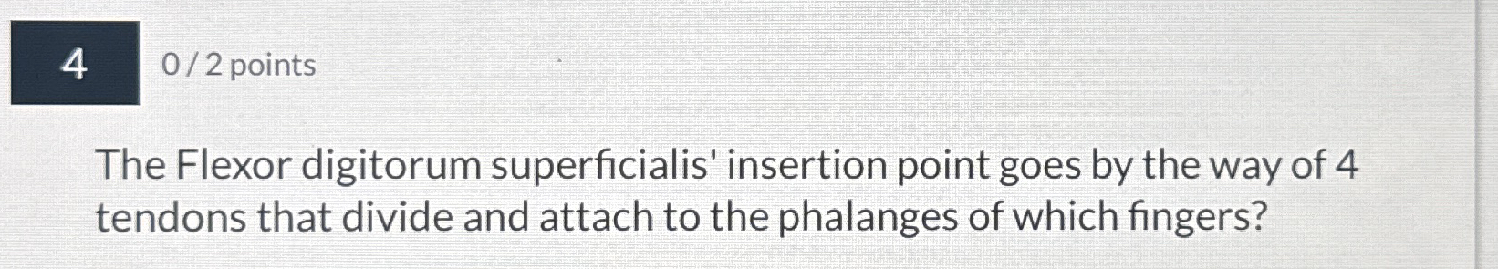 Solved 40/2 ﻿pointsThe Flexor digitorum superficialis' | Chegg.com