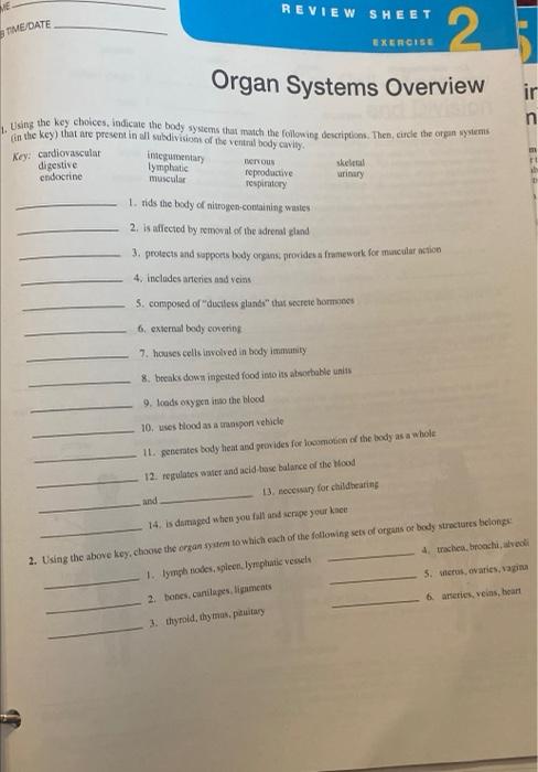 Solved Organ Systems Overview Using the key choices, | Chegg.com