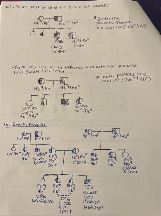 Solved - Determine the genotypes (use HbA and HbS for the | Chegg.com
