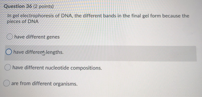 Solved Question 36 (2 points) In gel electrophoresis of DNA, | Chegg.com