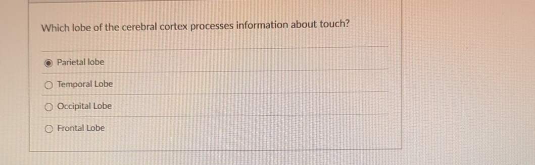 Solved Which lobe of the cerebral cortex processes | Chegg.com