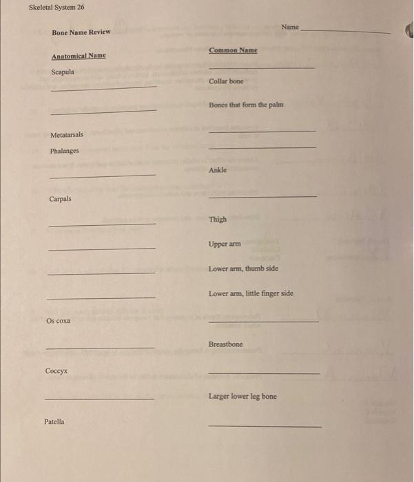 Solved Skeletal System 26 Bone Name Revicw Name Anatomical | Chegg.com