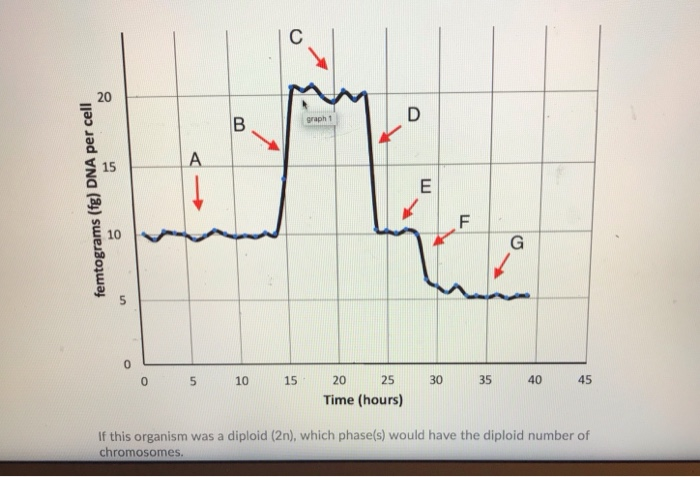 Solved femtograms (fa) DNA per cell 0 5 10 15 30 35 40 45 20 | Chegg.com