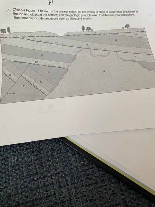 Solved 5. Youngest Principle Oldest 5. Observe Figure 11 | Chegg.com